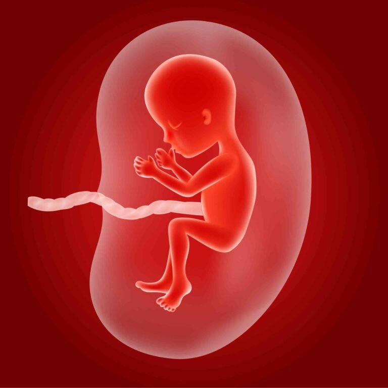 The Role of Amniotic Fluid in Labor and Delivery - Ayaansh IVF